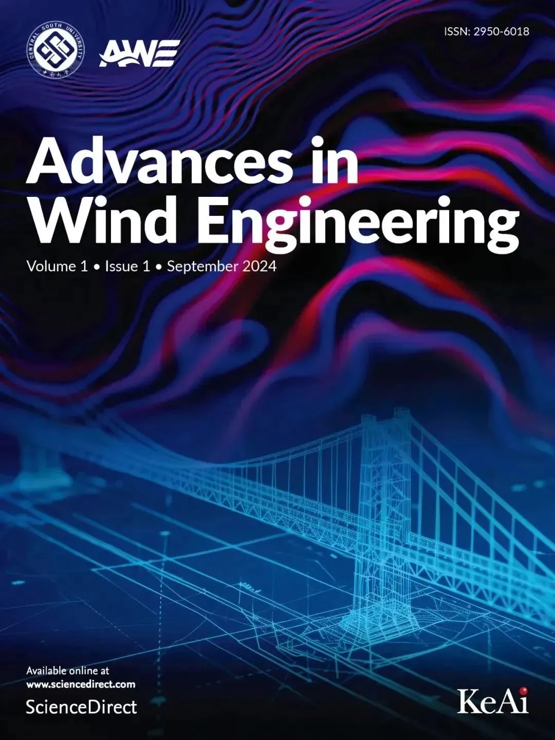 Advances in Wind Engineering第一届编委会第一次会议在长沙顺利召开-土木工程学院